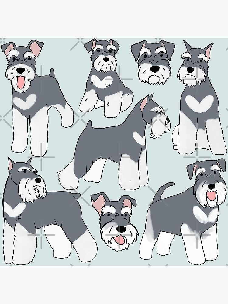 "Mini Schnauzer illustration - a cute Miniature Schnauzer dog cartoon ...