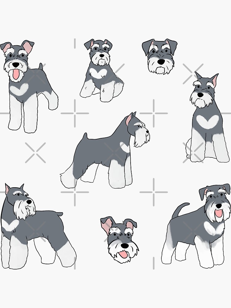 "Mini Schnauzer illustration - a cute Miniature Schnauzer dog cartoon ...