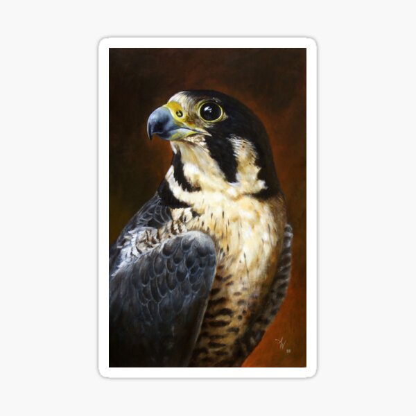 "Proud - Peregrine Falcon" Sticker for Sale by Aart | Redbubble