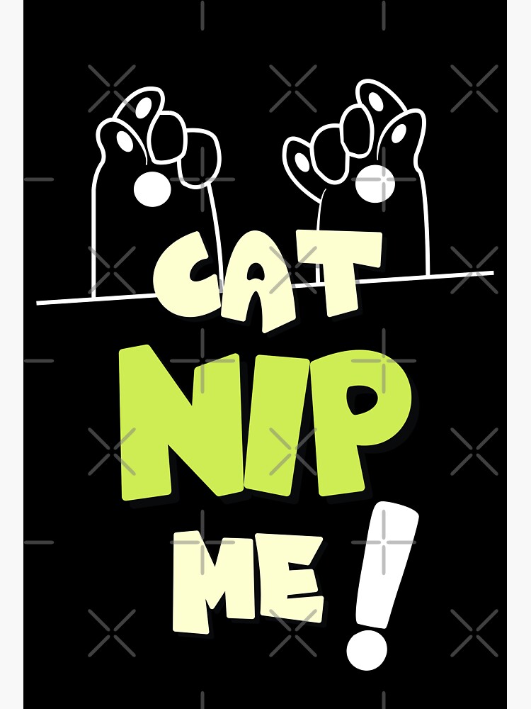"Funny Cat Dad Meme- CATnip Me Hooman MEOW!! " Sticker for Sale by ...