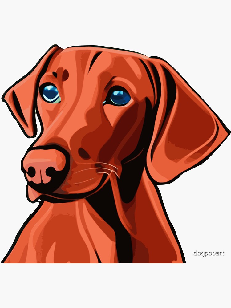 "Vizsla Dog" Sticker for Sale by dogpopart | Redbubble