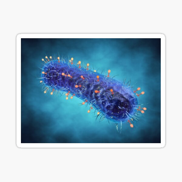 "Bacterial viruses" Sticker for Sale by nobeastsofierce | Redbubble