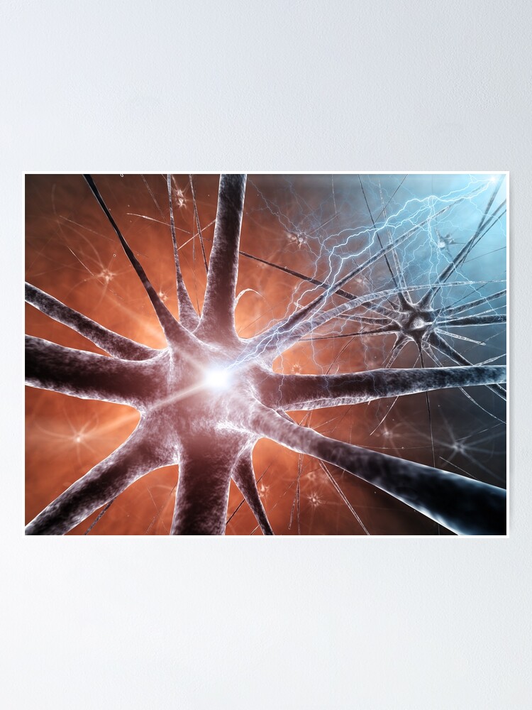 "Neurons" Poster by nobeastsofierce | Redbubble