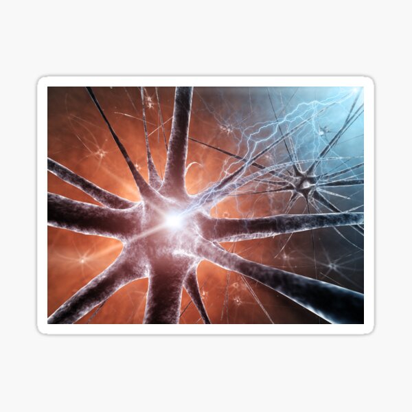 "Neurons" Sticker for Sale by nobeastsofierce | Redbubble