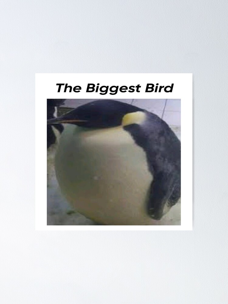 Im The Biggest Bird Meme Poster For Sale By Guybubbles Redbubble