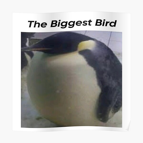 Im The Biggest Bird Meme Poster For Sale By Guybubbles Redbubble