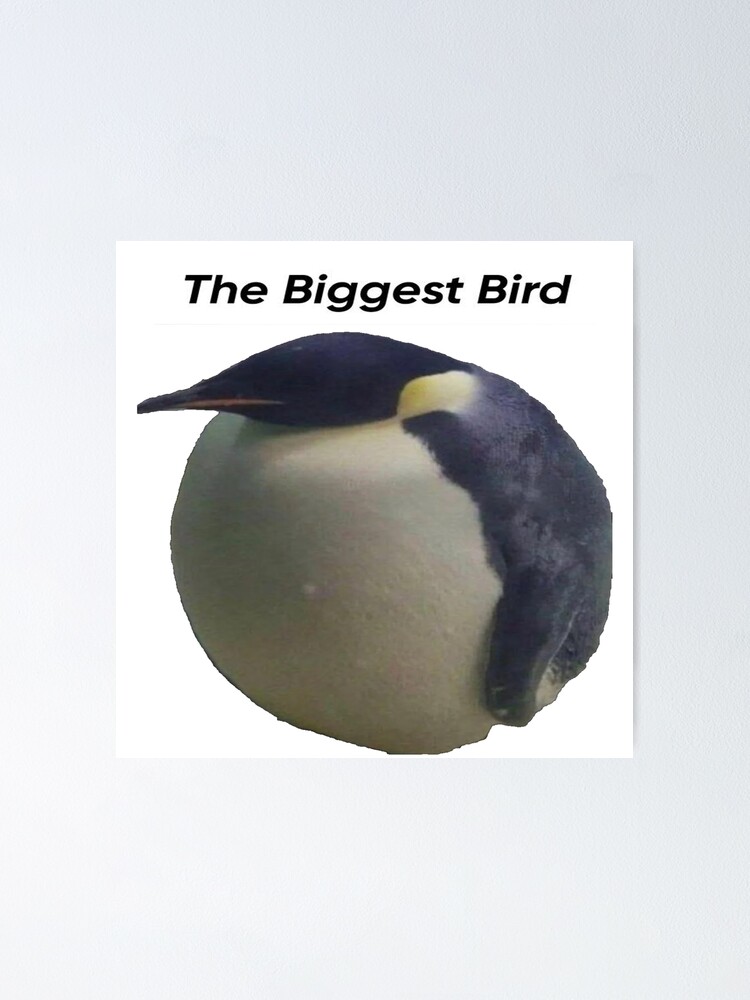 Im The Biggest Bird Meme Tiktok Poster For Sale By Guybubbles Redbubble