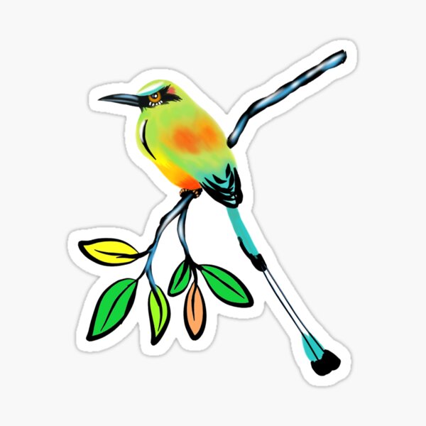 Pegatina «Hermoso pájaro Torogóz» de paisajetropical | Redbubble