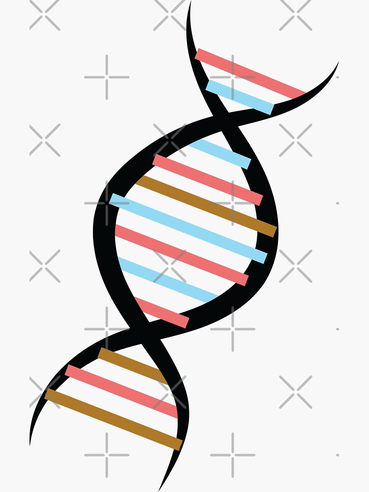 Pegatina «ADN» de kimtangdesign | Redbubble