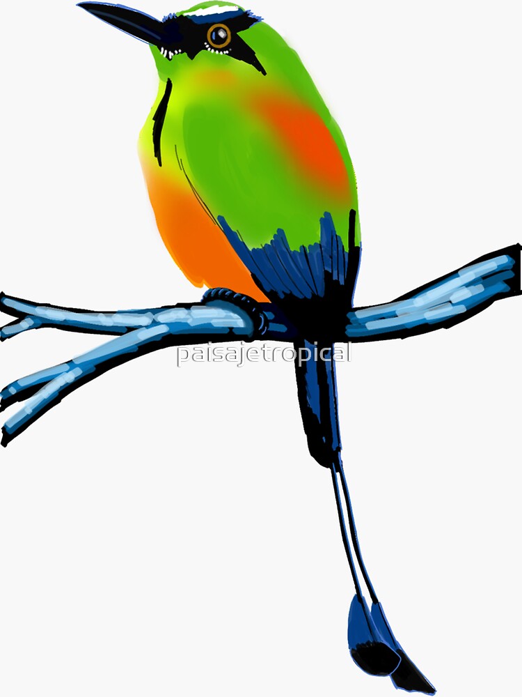"Copy of The Torogoz bird 1" Sticker for Sale by paisajetropical ...