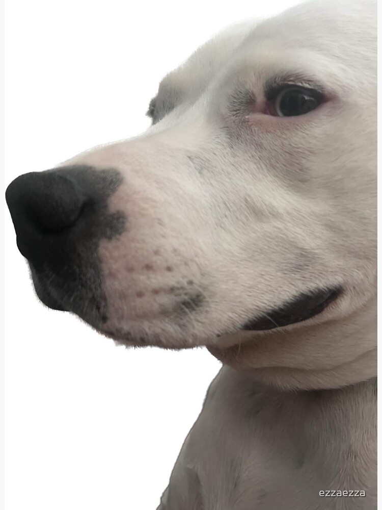 "Uhm whet " Sticker for Sale by ezzaezza | Redbubble