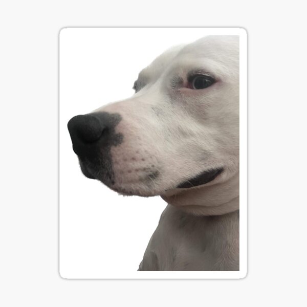 "Uhm whet " Sticker for Sale by ezzaezza | Redbubble