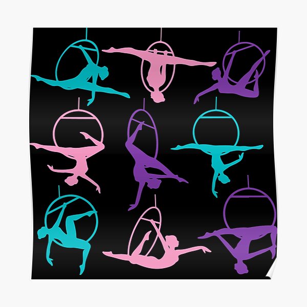 "Aerialists In The Air Lyra Silks aerial Trapeze artist flying girl ...