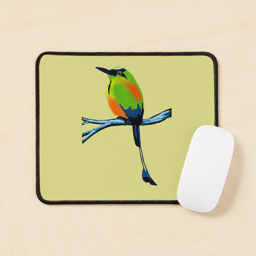 "The Torogoz bird" Sticker by paisajetropical | Redbubble