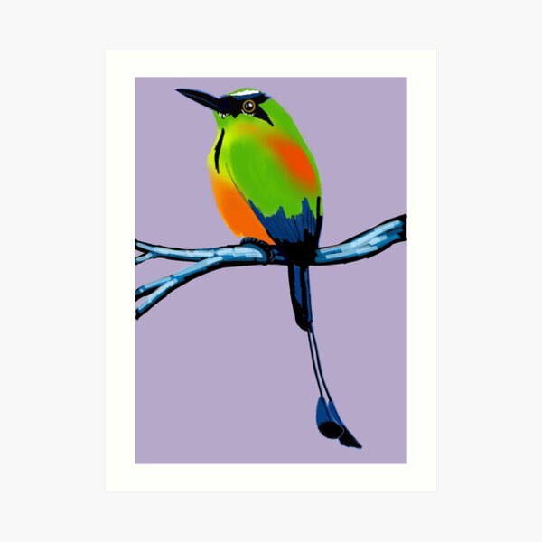 "The Torogoz bird" Art Print by paisajetropical | Redbubble