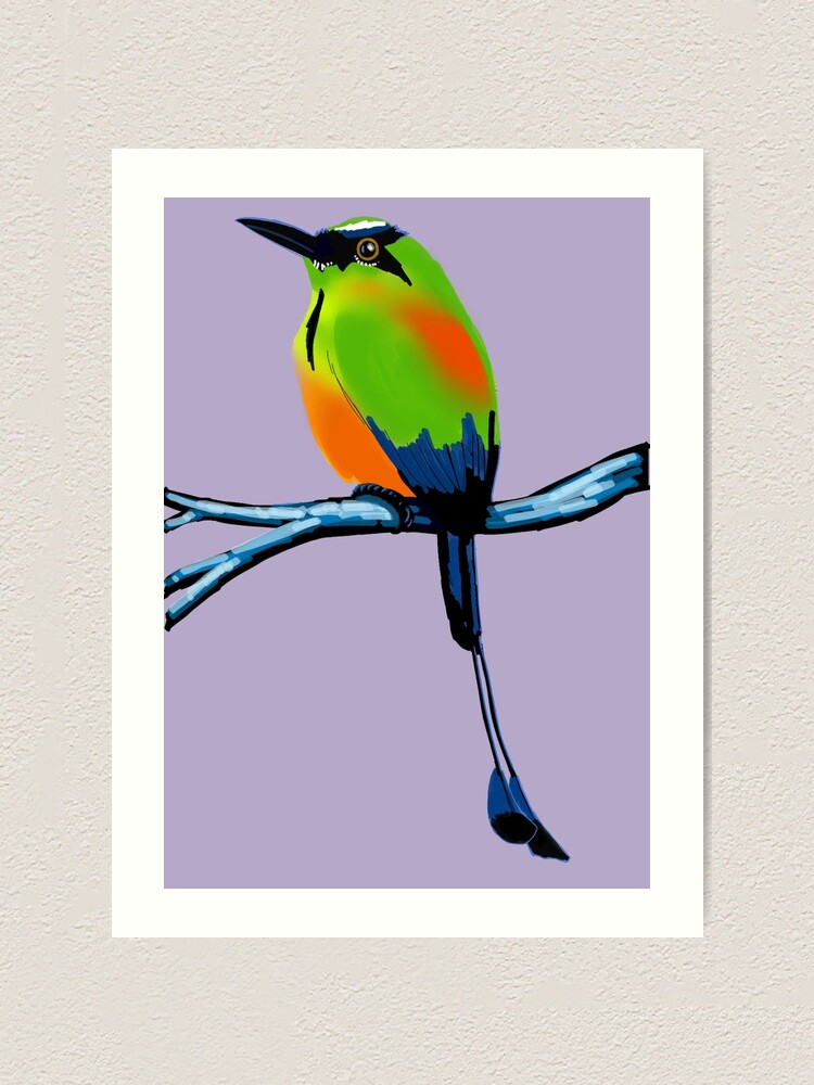 "The Torogoz bird" Art Print by paisajetropical | Redbubble