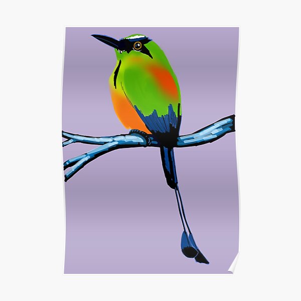 "The Torogoz bird" Poster by paisajetropical | Redbubble