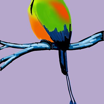 "The Torogoz bird" Art Print by paisajetropical | Redbubble