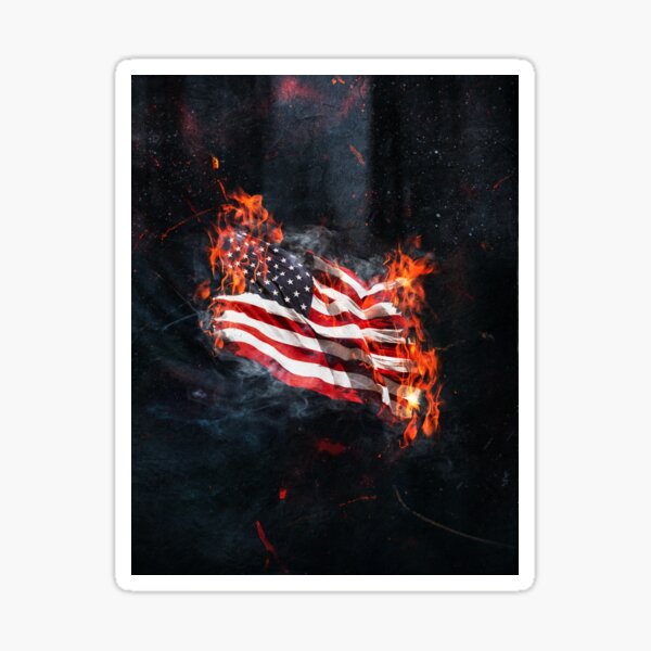 "Burning Democracy" Sticker for Sale by alexyaki | Redbubble