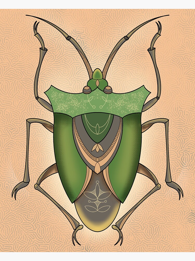 "Tribal insect - 03" Sticker for Sale by Dsdraw | Redbubble