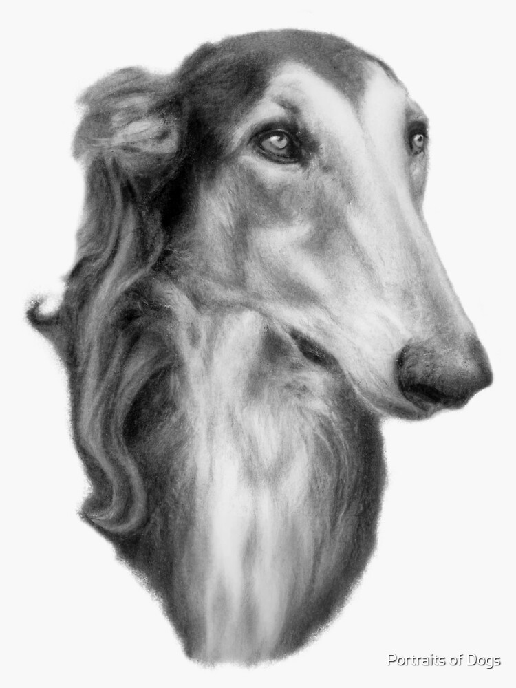 "Borzoi Drawing | Beautiful Dog Art" Sticker for Sale by Jasonharperart ...