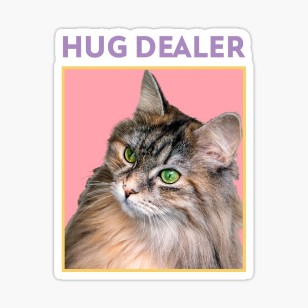 "Funny Hug dealer cat lovers design " Sticker for Sale by MoatazSamyy ...