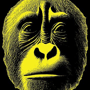 "Graphic Yellow Big Bondo Bili Ape Face" Art Board Print for Sale by ...