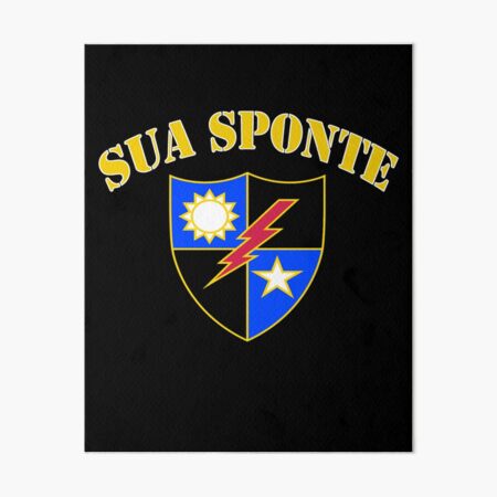 "Army Ranger Sua Sponte 75th Ranger Regiment Large Unit Crest" Art ...