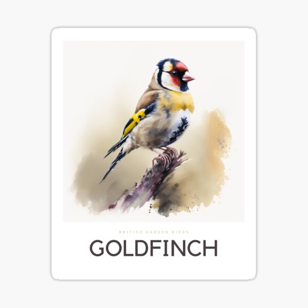 "British Garden Birds: Goldfinch" Sticker for Sale by andreipopescu ...