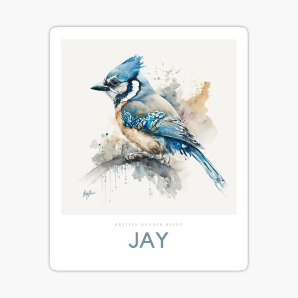 "British Garden Birds: Jay" Sticker for Sale by andreipopescu | Redbubble