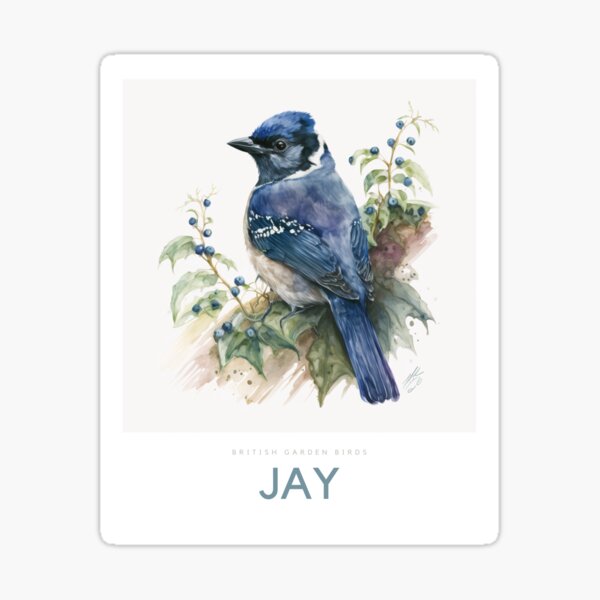 "British Garden Birds: Jay" Sticker for Sale by andreipopescu | Redbubble