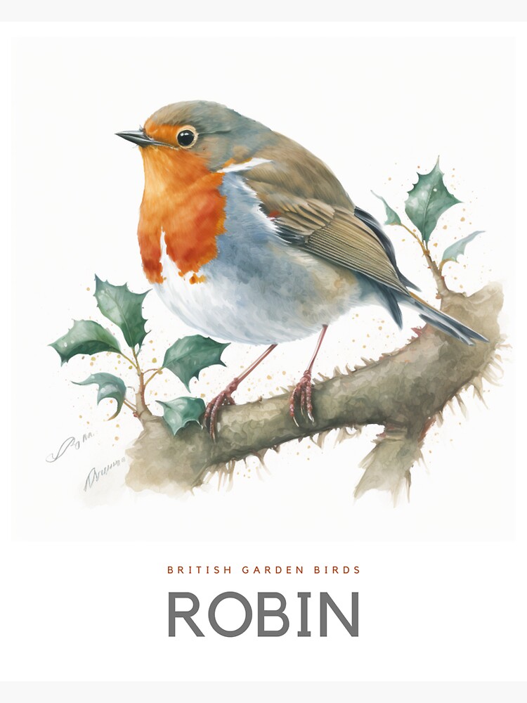 "British Garden Birds: Robin" Sticker for Sale by andreipopescu | Redbubble