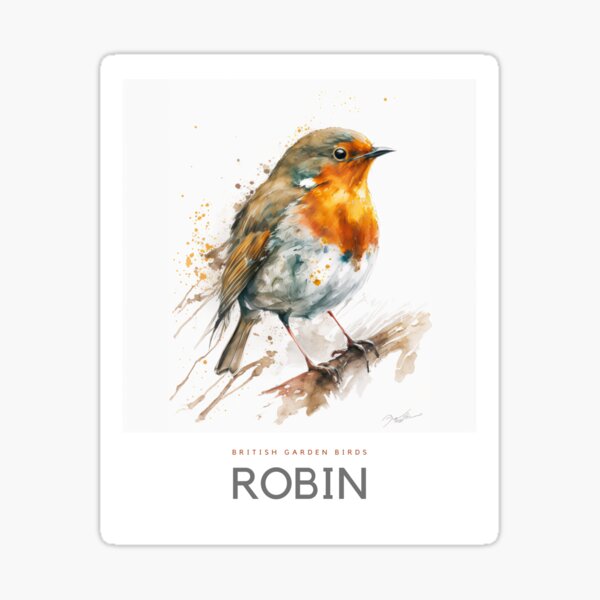 "British Garden Birds: Robin" Sticker for Sale by andreipopescu | Redbubble