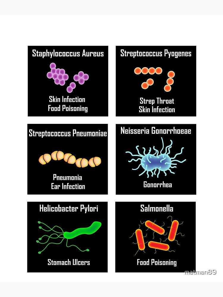 "Common Bacterial Infections - Microbiology Science T-shirt" Poster for ...