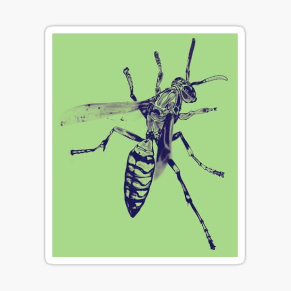 "Wasp" Sticker for Sale by JacJaq | Redbubble