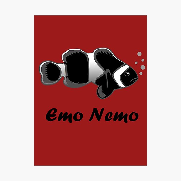 "Emo Nemo" Photographic Print by SwazzleSwazz | Redbubble