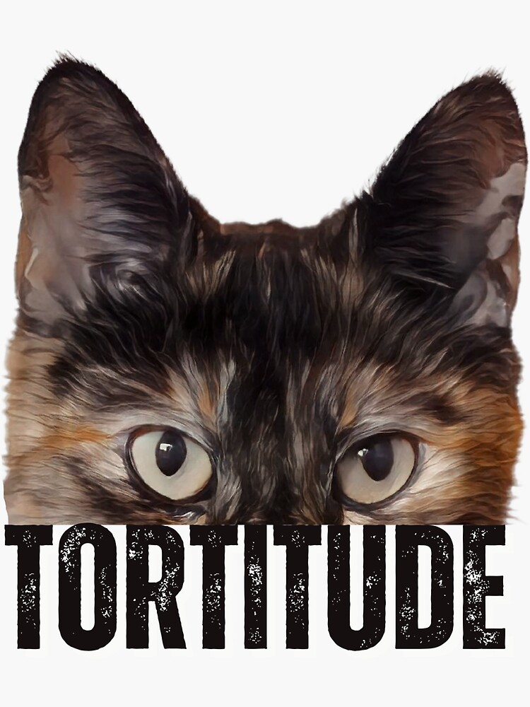 "Tortitude Tortoiseshell cat peeking cat attitude" Sticker for Sale by ...