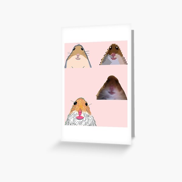 "Hamster Staring Meme Sticker Set" Greeting Card for Sale by redakhatib ...