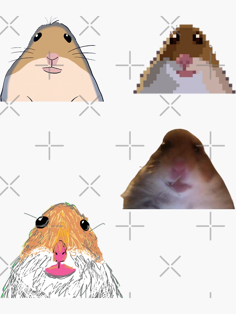 "Hamster Staring Meme Sticker Set" Sticker for Sale by redakhatib ...