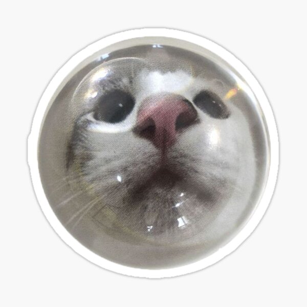 "bubble cat" Sticker for Sale by nataliabrito | Redbubble