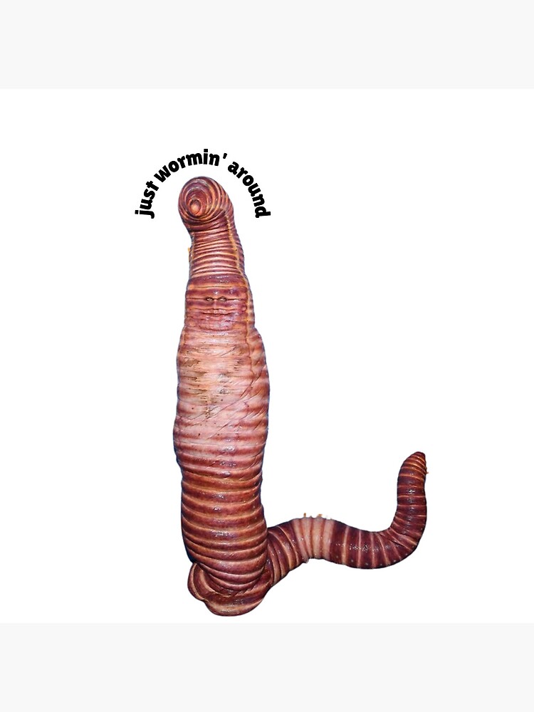 "Heidi Klum Worm" Clock for Sale by Stickerzbykate | Redbubble