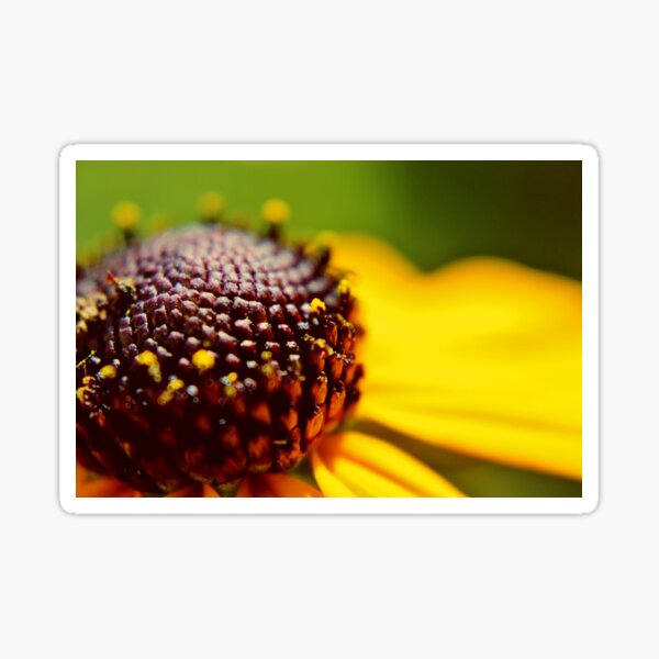 "Pretty Brown Eyes" Sticker for Sale by KatiesCorner | Redbubble