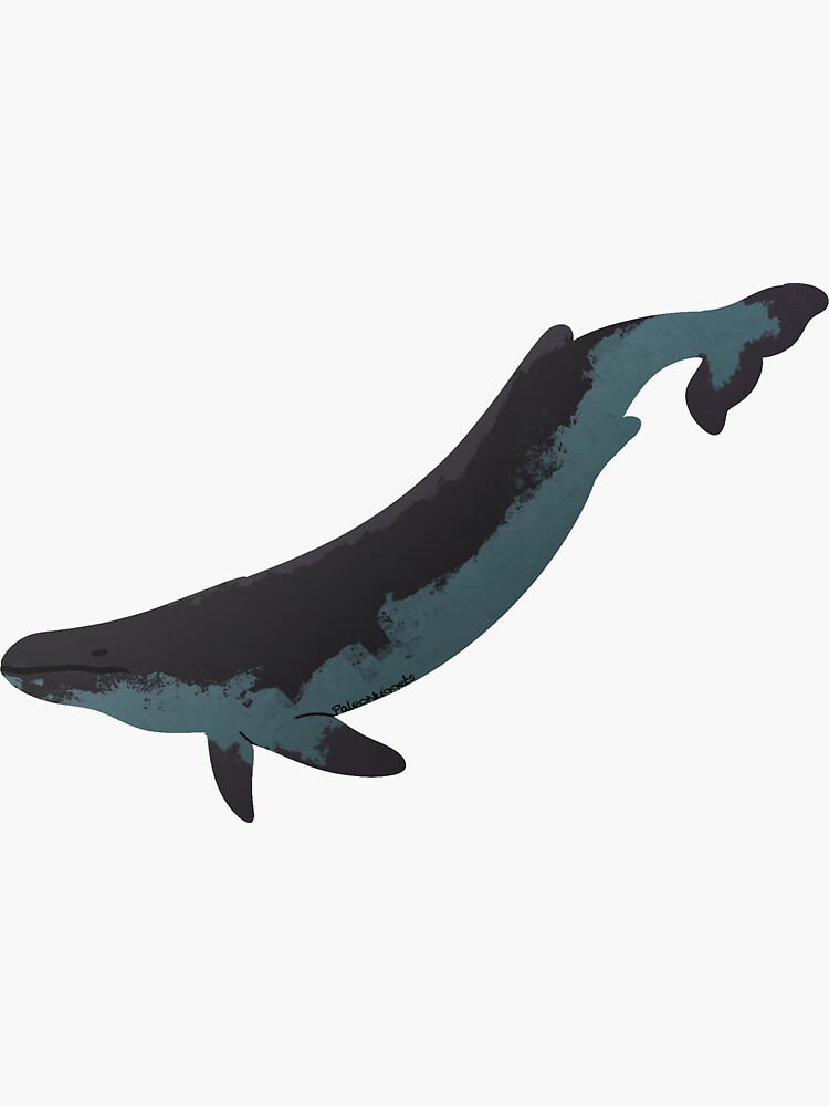 "Chibi Basilosaurus" Sticker for Sale by Paleo-Nuggets | Redbubble