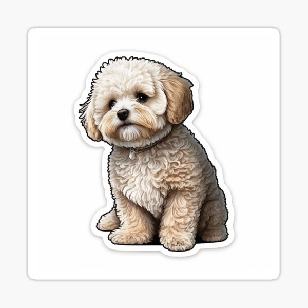 "Maltipoo sticker" Sticker for Sale by Meloncholai | Redbubble