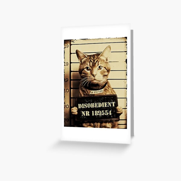 "Mugshot of a disobedient cat - Funny humor meme joke aesthetic animal ...