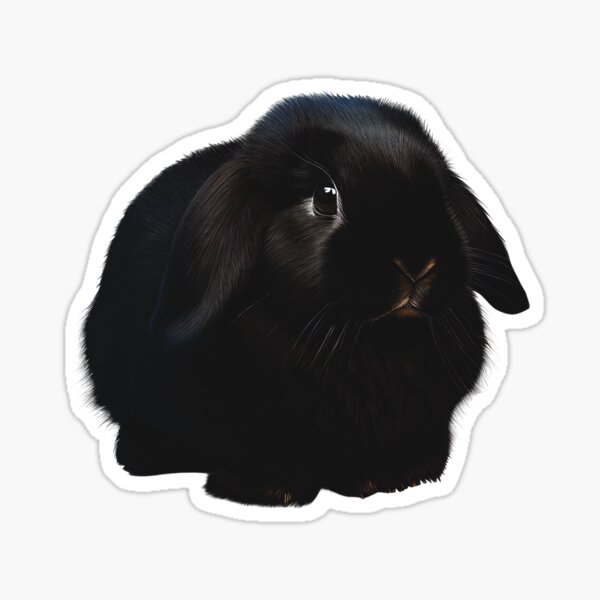 "Black Cute Rabbit Sticker" Sticker for Sale by vasebrothers | Redbubble