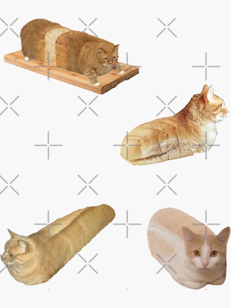 "Cat Loaf Meme Sticker Pack" Sticker for Sale by redakhatib | Redbubble