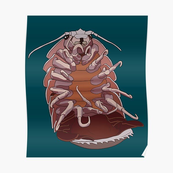 "Giant Deep Sea Isopod" Poster for Sale by ziafrazier | Redbubble