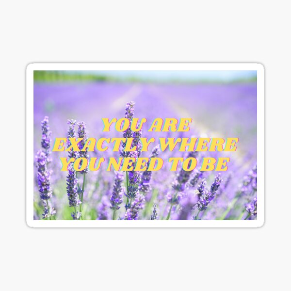 "You Are Exactly Where You Need To Be" Sticker for Sale by farrahm97 ...