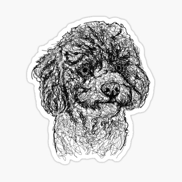 "Poodle dog drawing with scribble art" Sticker for Sale by KondeHipe ...
